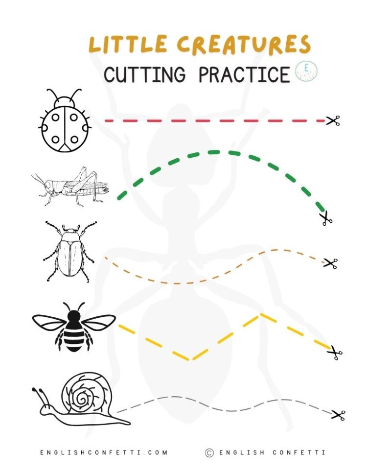 Fun Cutting Practice Pages for Pre-Writing Skills – English Confetti